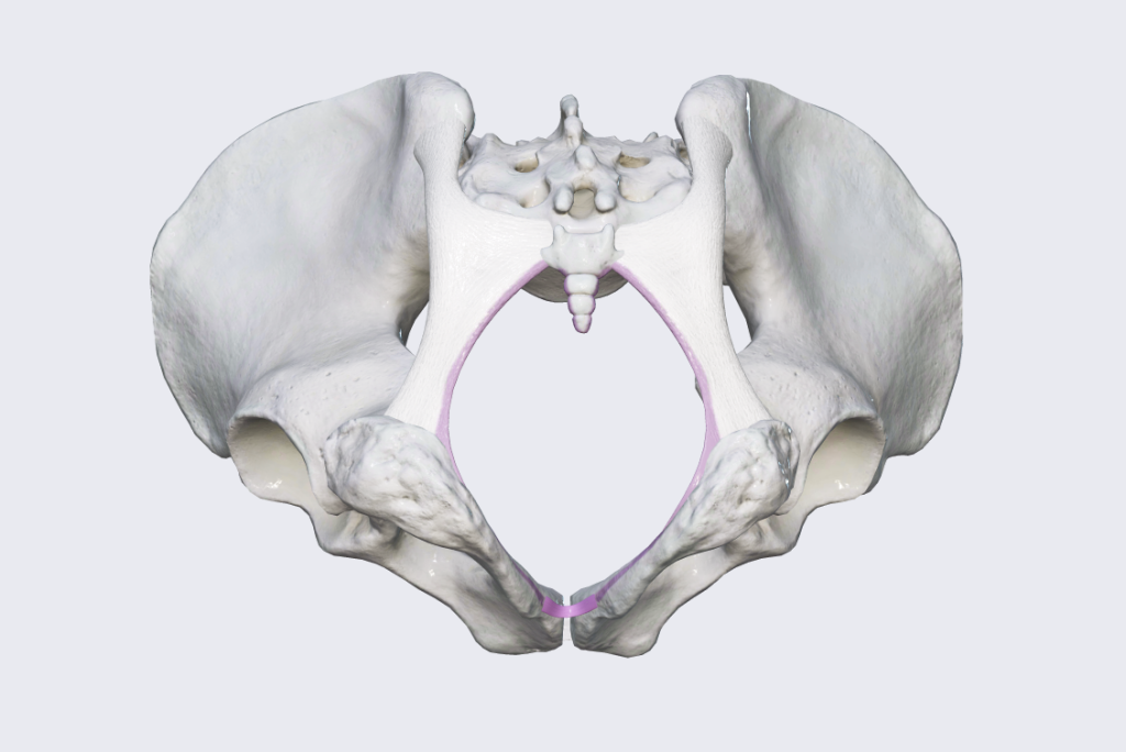 Yoga and Exercises to Widen Your Pelvis for Birth - Prenatal Yoga Center