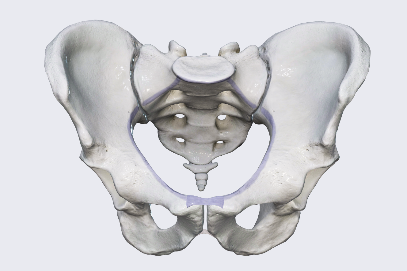 Yoga and Exercises to Widen Your Pelvis for Birth - Prenatal Yoga Center