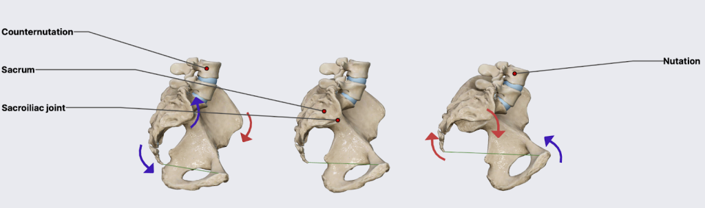 Yoga and Exercises to Widen Your Pelvis for Birth - Prenatal Yoga Center