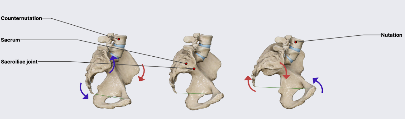 Yoga and Exercises to Widen Your Pelvis for Birth - Prenatal Yoga Center
