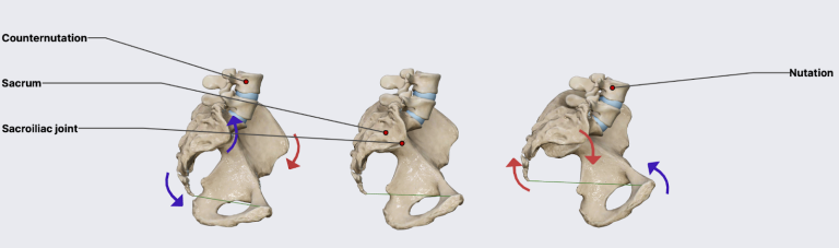 Yoga and Exercises to Widen Your Pelvis for Birth - Prenatal Yoga Center